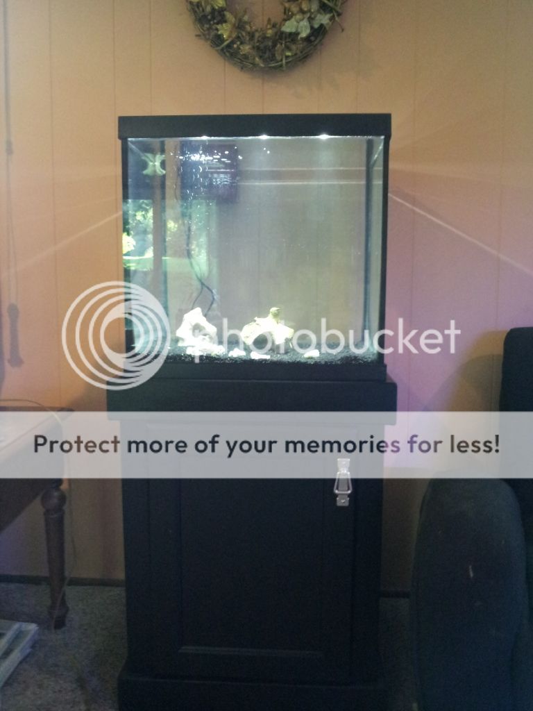 dputt88's 30 gal Macro Algae Cube! | Page 2 | Michigan Reefers