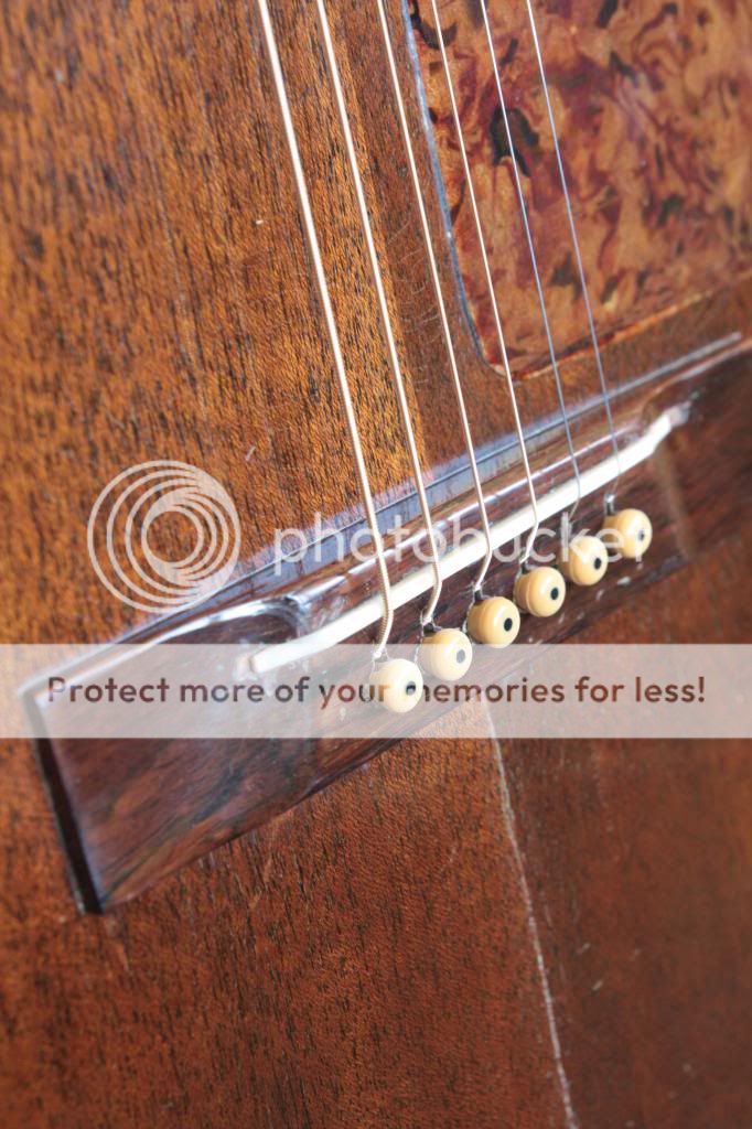 Favilla Guitars Serial Numbers - christianlasopa